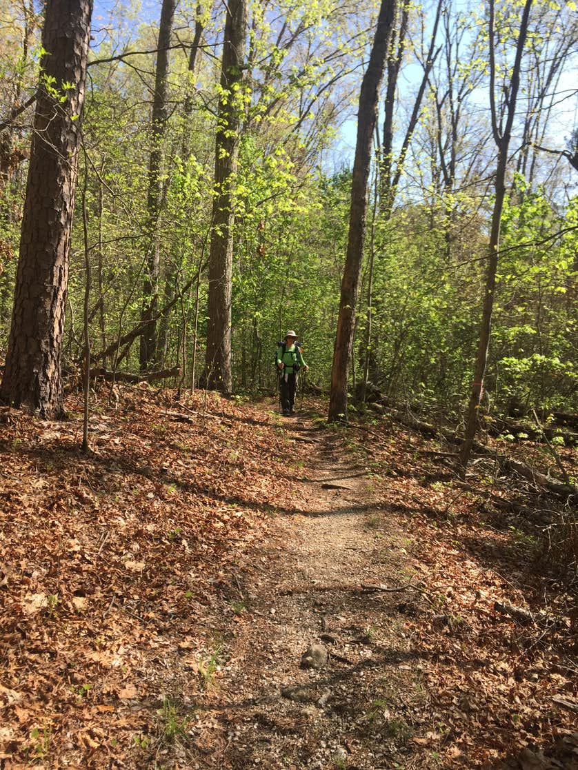 Berryman Trail & Campgrounds - Mark Twain National Forest Camping | The ...