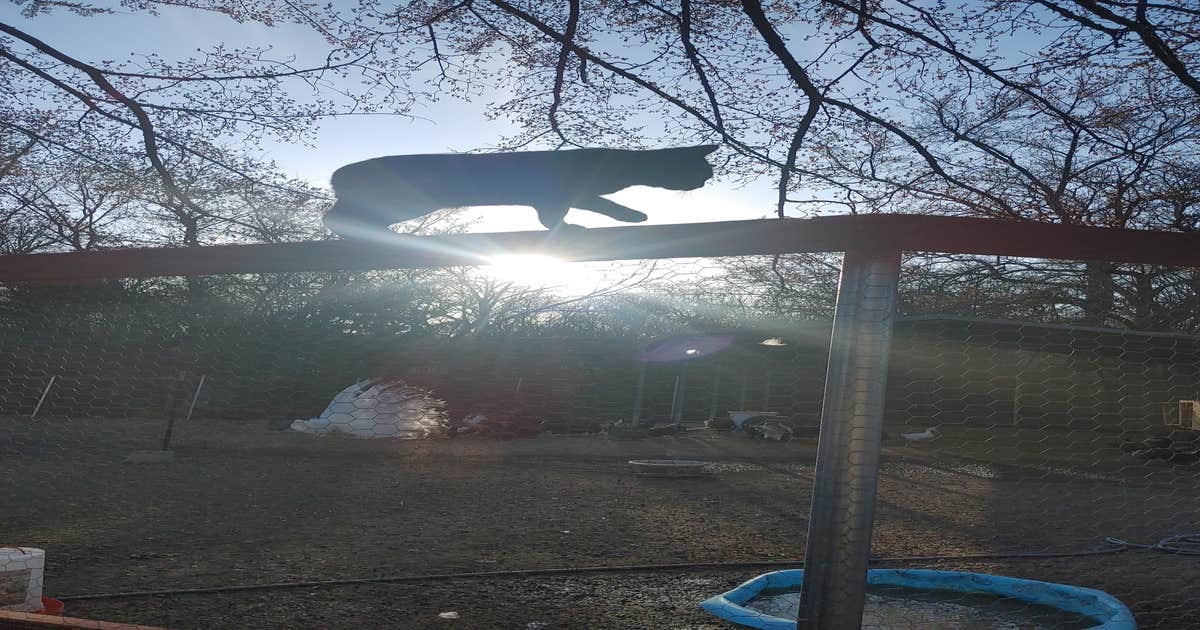 Mana Farm Davis Camping | Davis, Oklahoma