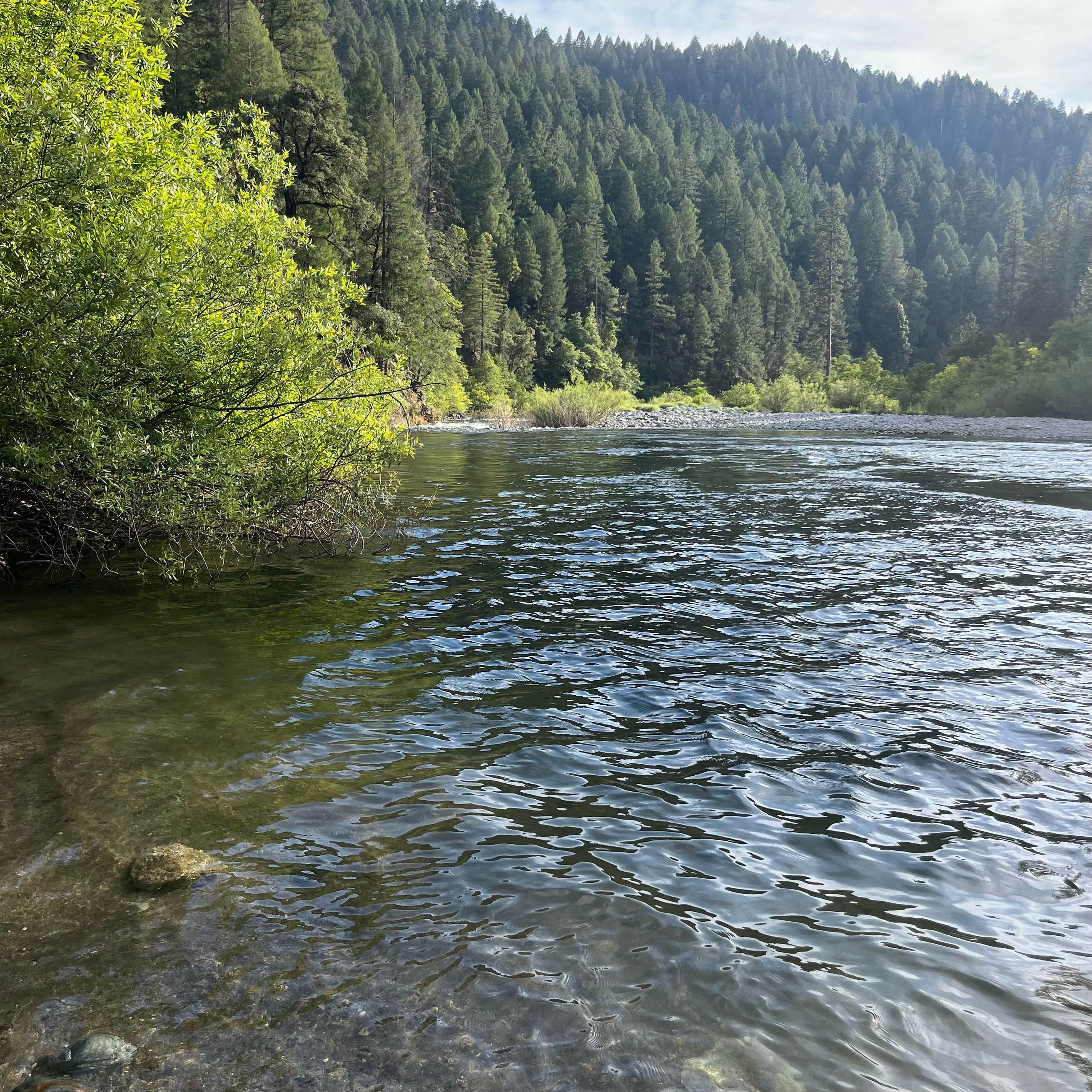 Rocky Rest Camping | Goodyears Bar, California