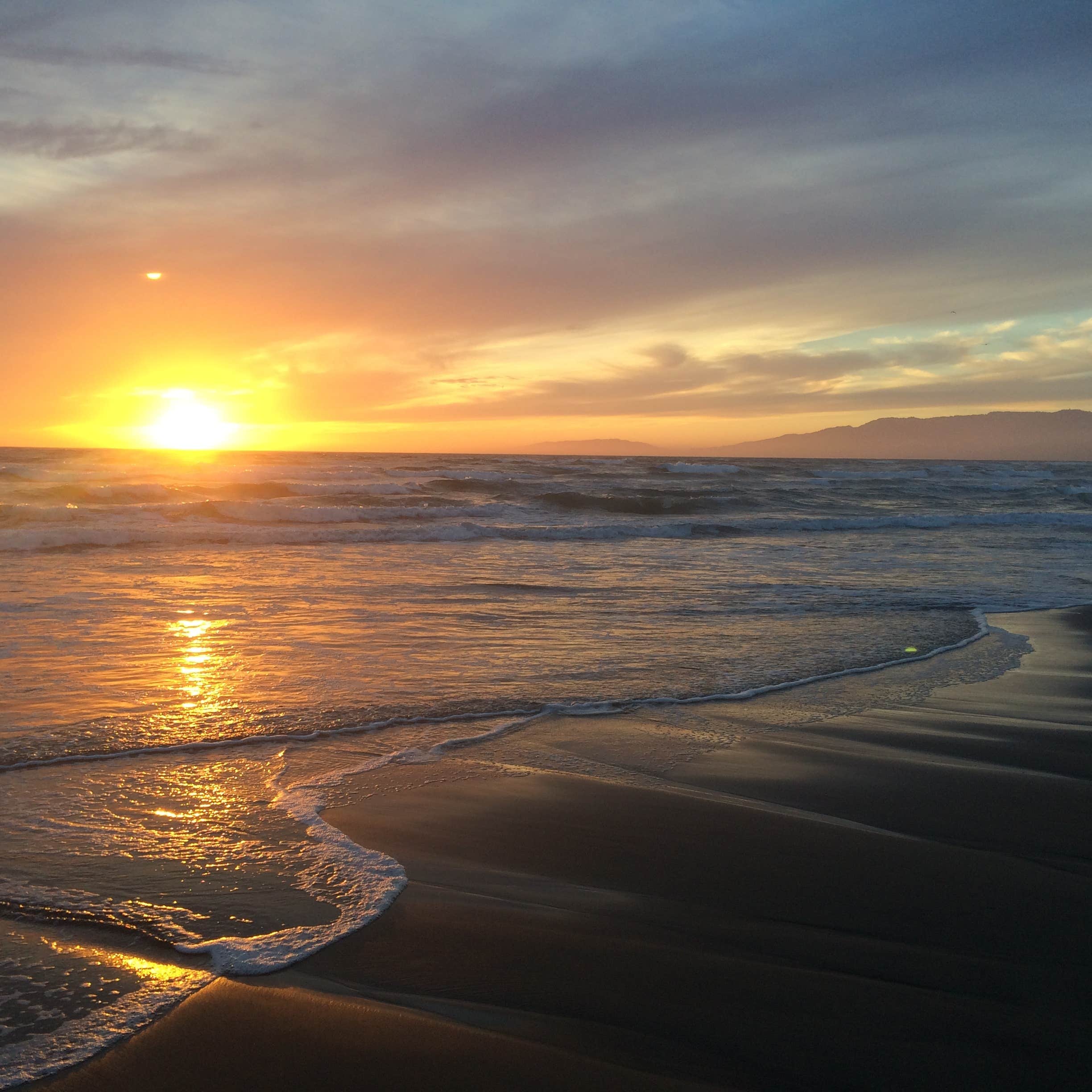 Sunset State Beach Camping | The Dyrt