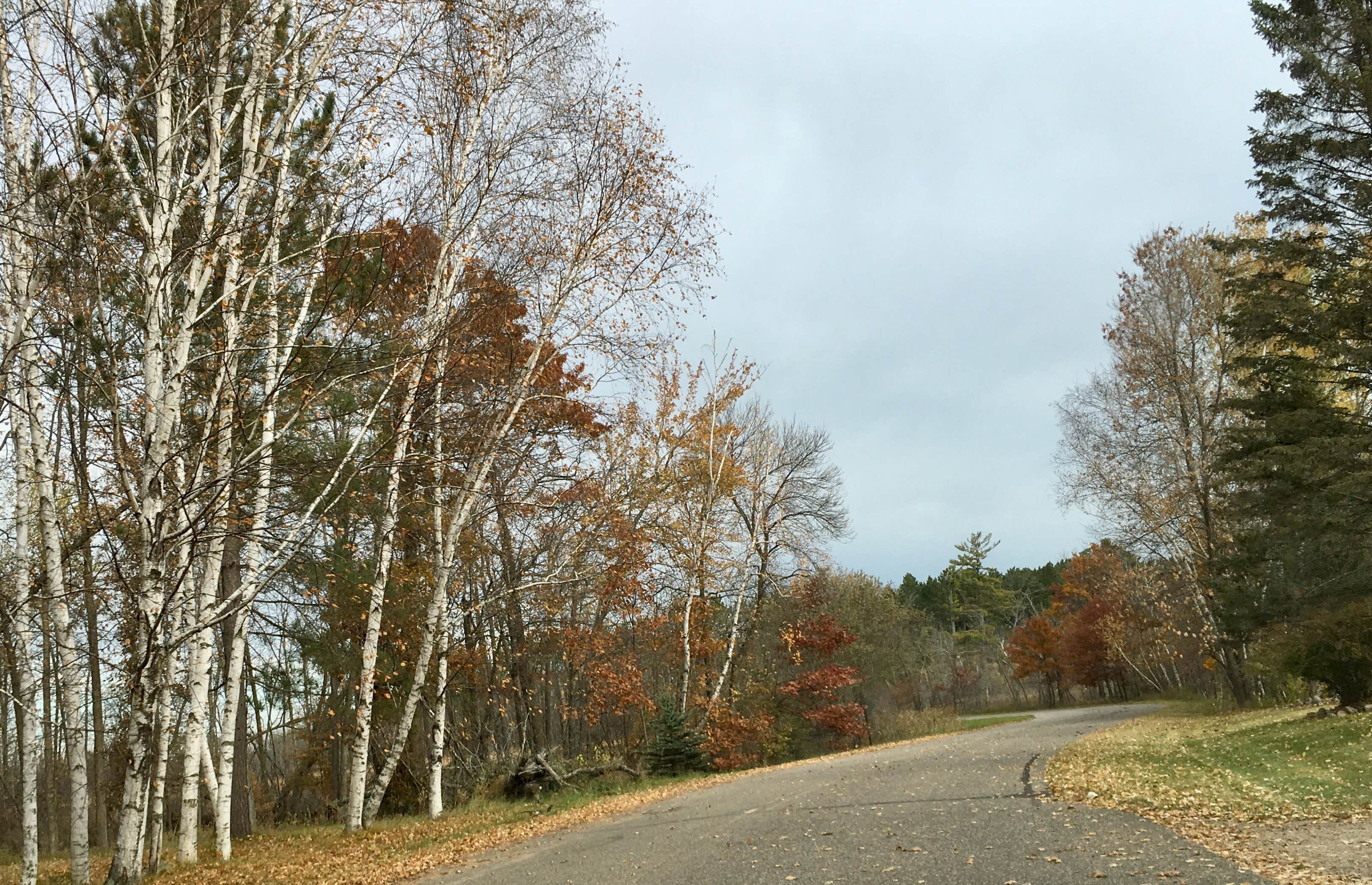 Rock Lake Camping | Nisswa, Minnesota
