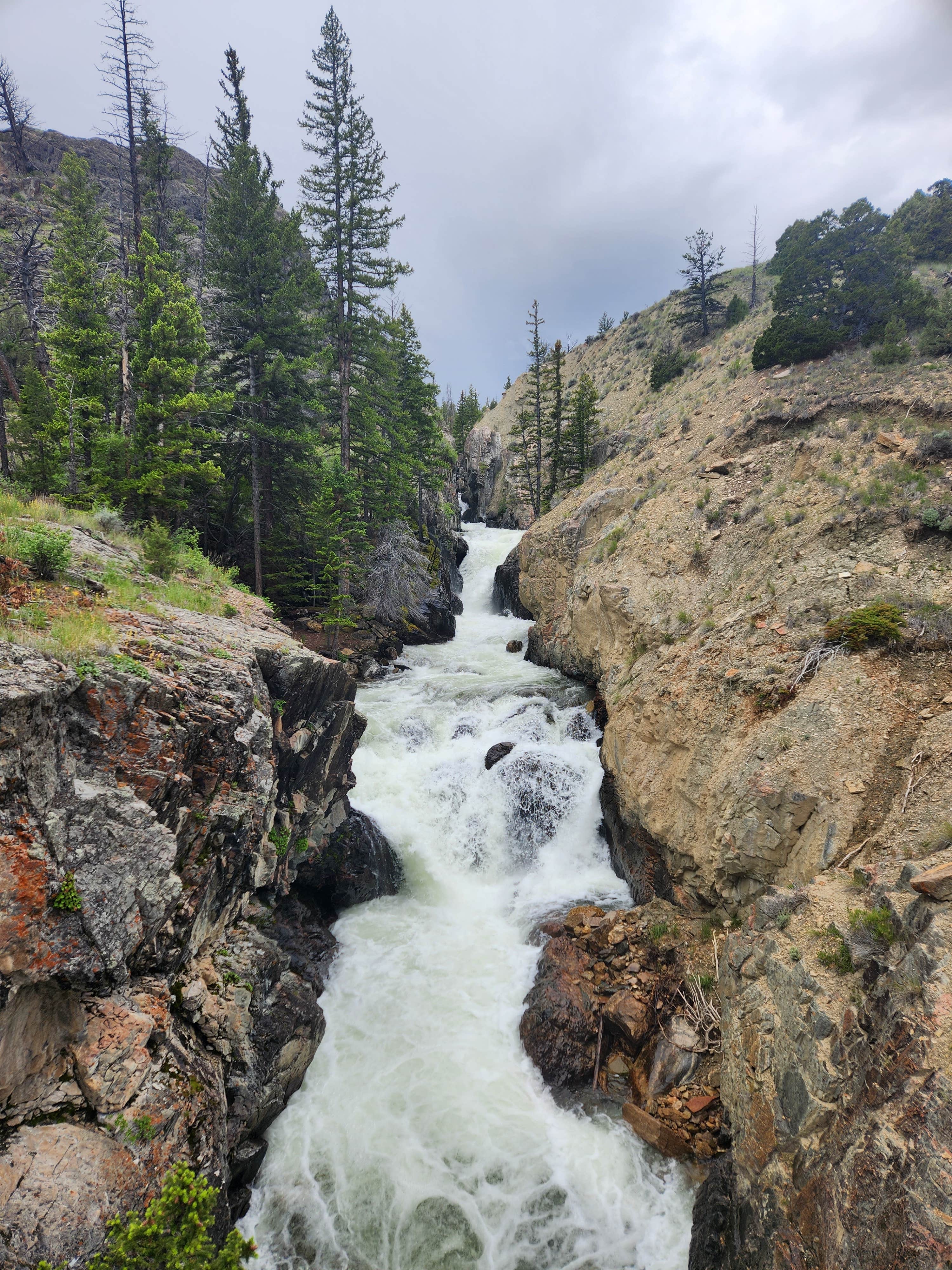 Glacier Trailhead Campsites in Fitzpatrick Wilderness Area | Dubois, WY