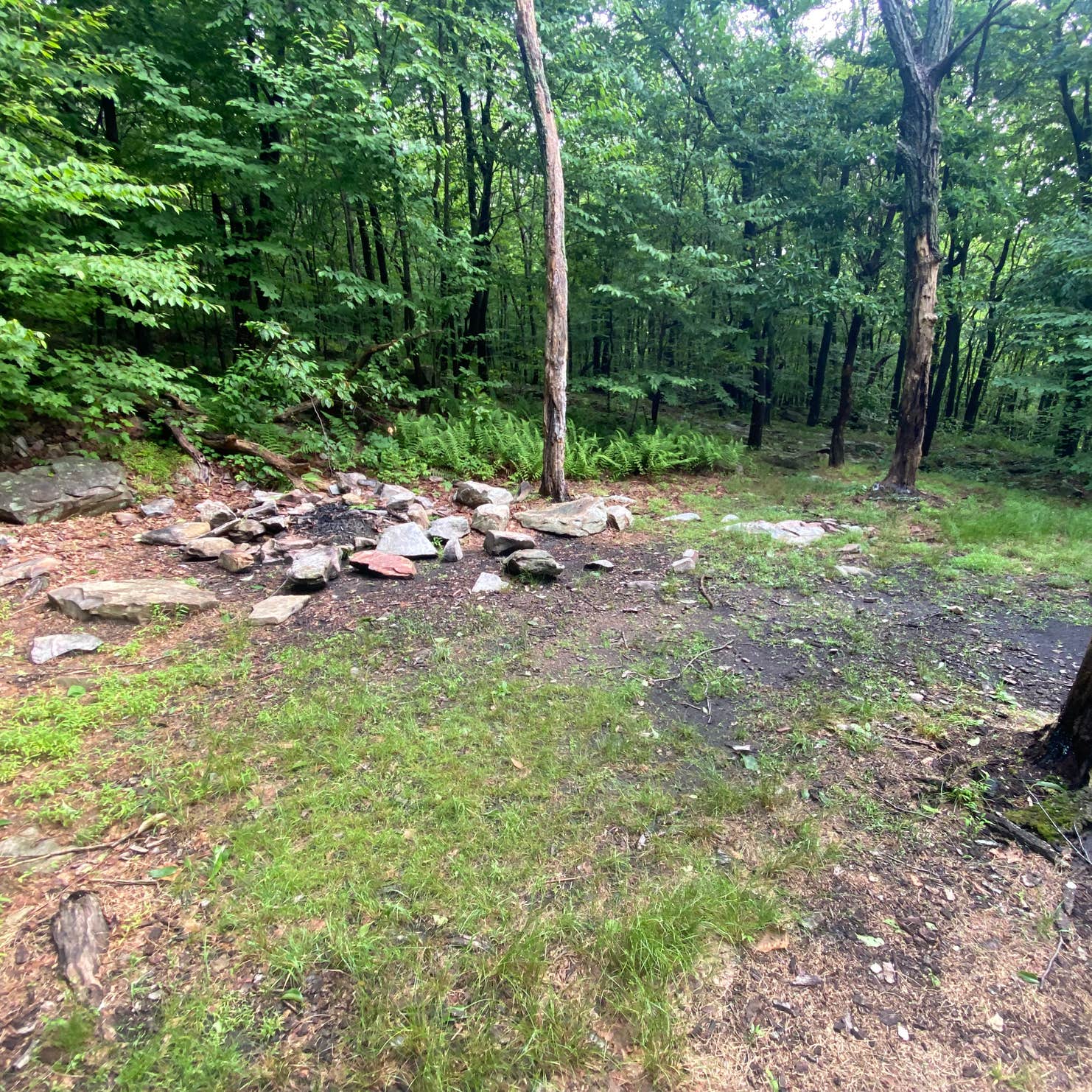 Lehigh Gap Woodpecker Trailhead Primitive Campground | Palmerton ...