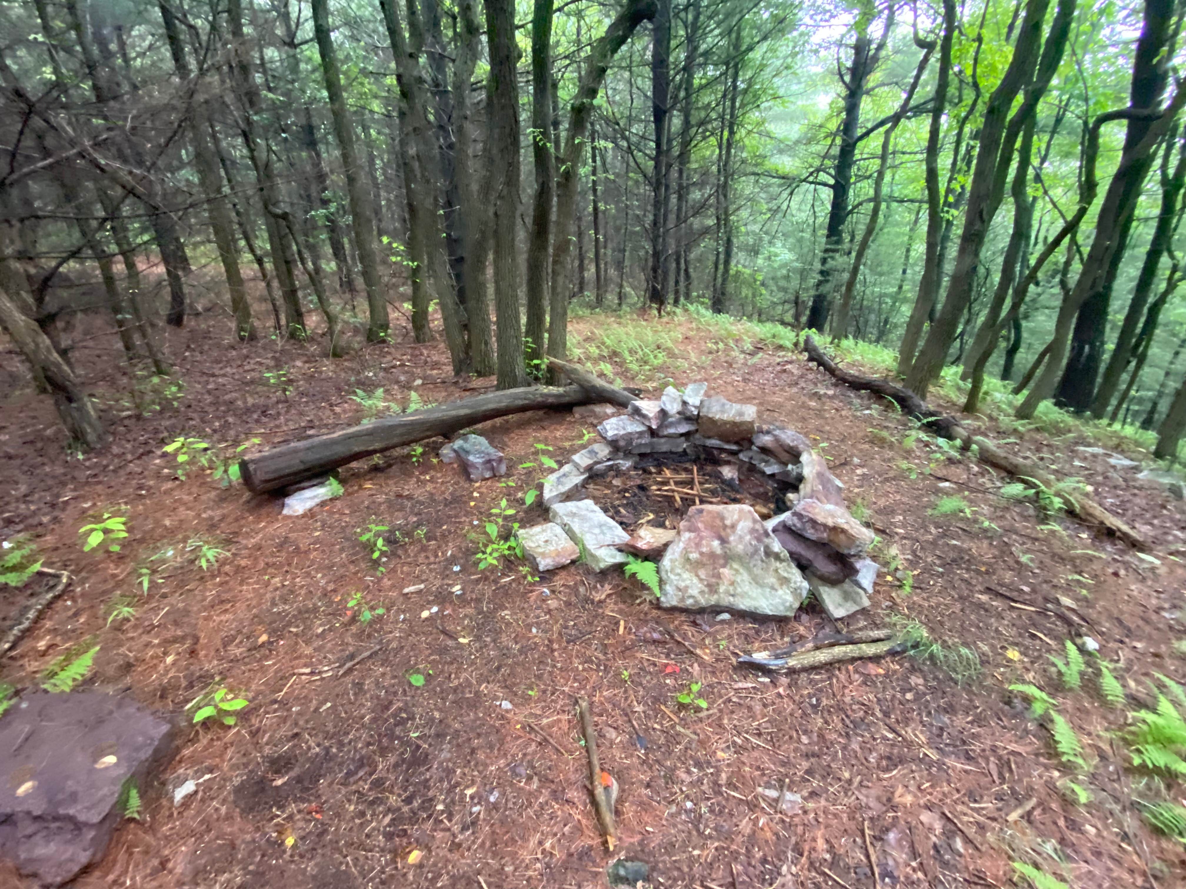 AT Group Campsite near Lehigh Gap | Palmerton, PA