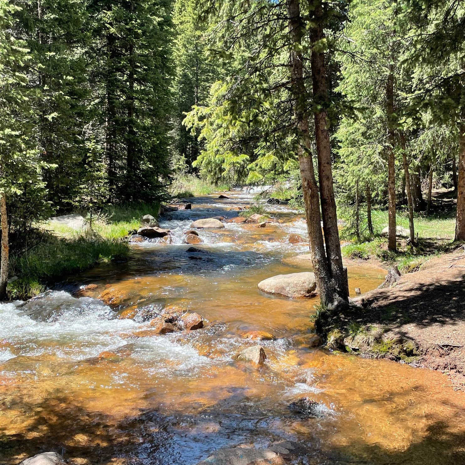 Gold Camp Road/Forest Service Road 376 Dispersed | Victor, CO