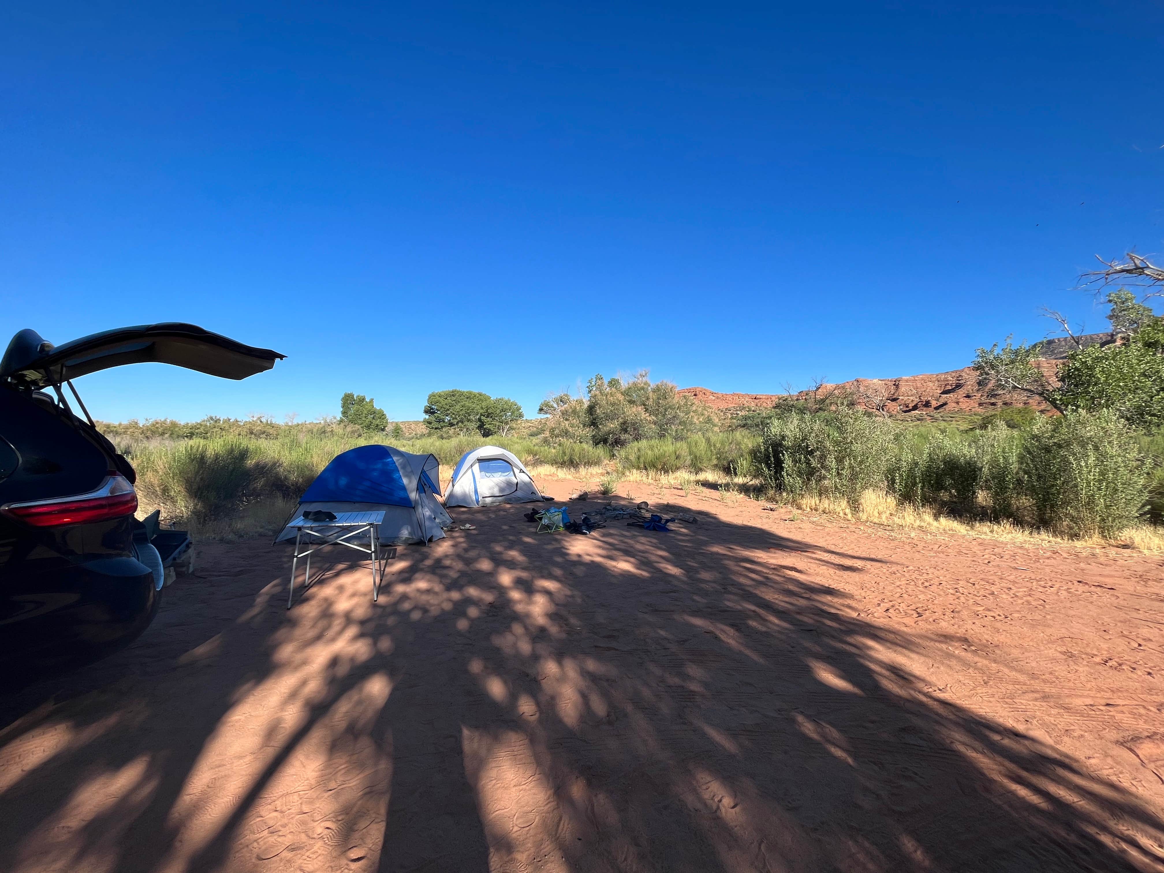 THE 10+ BEST Free Campsites near ZION NATIONAL PARK, UT