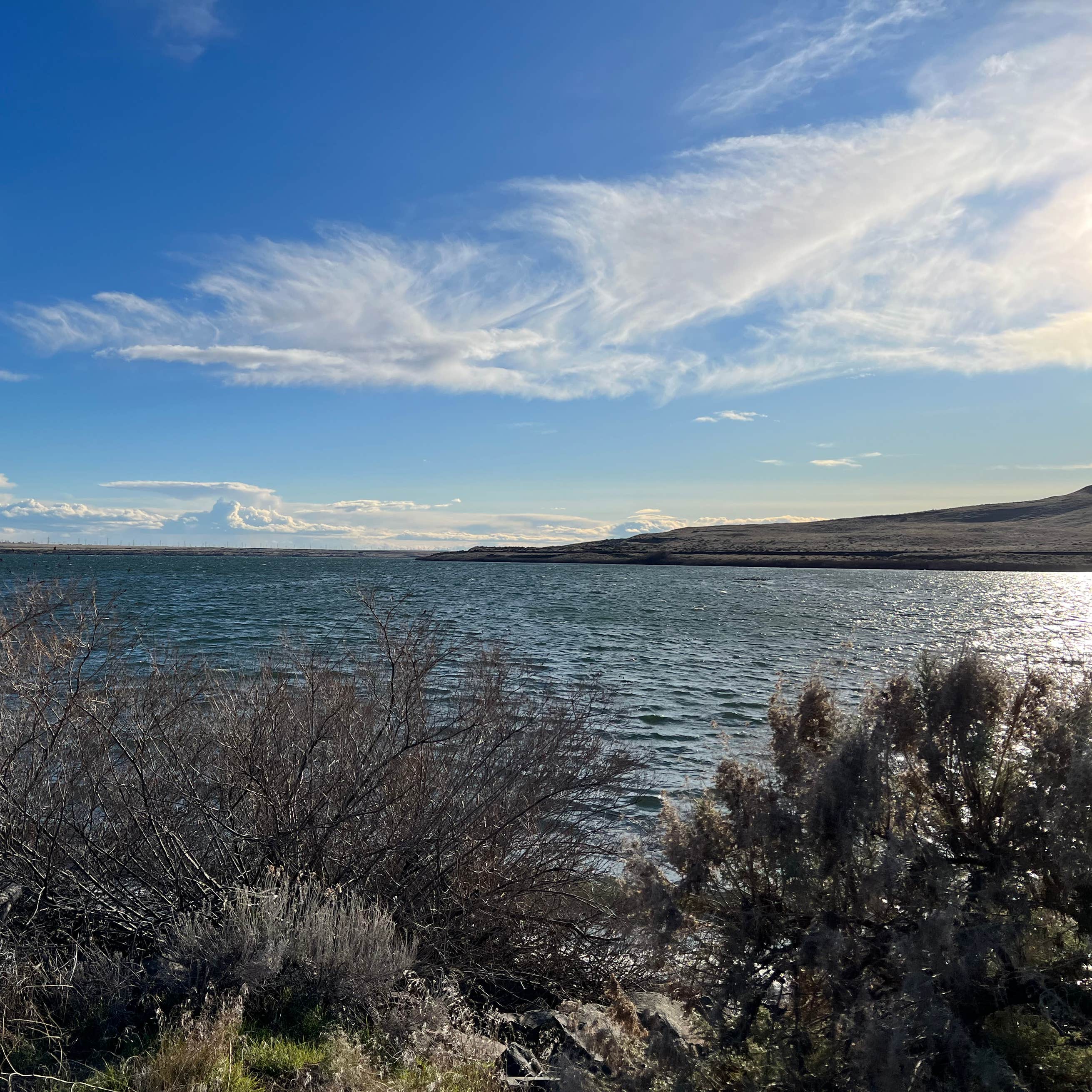 Crow Butte Park Camping | Boardman, Oregon