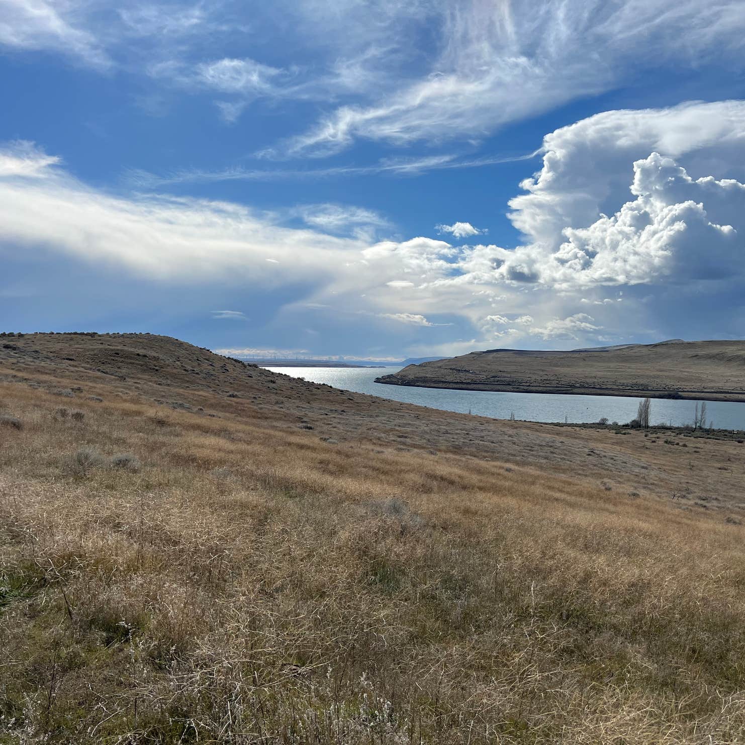 Crow Butte Park Camping | Rufus, OR
