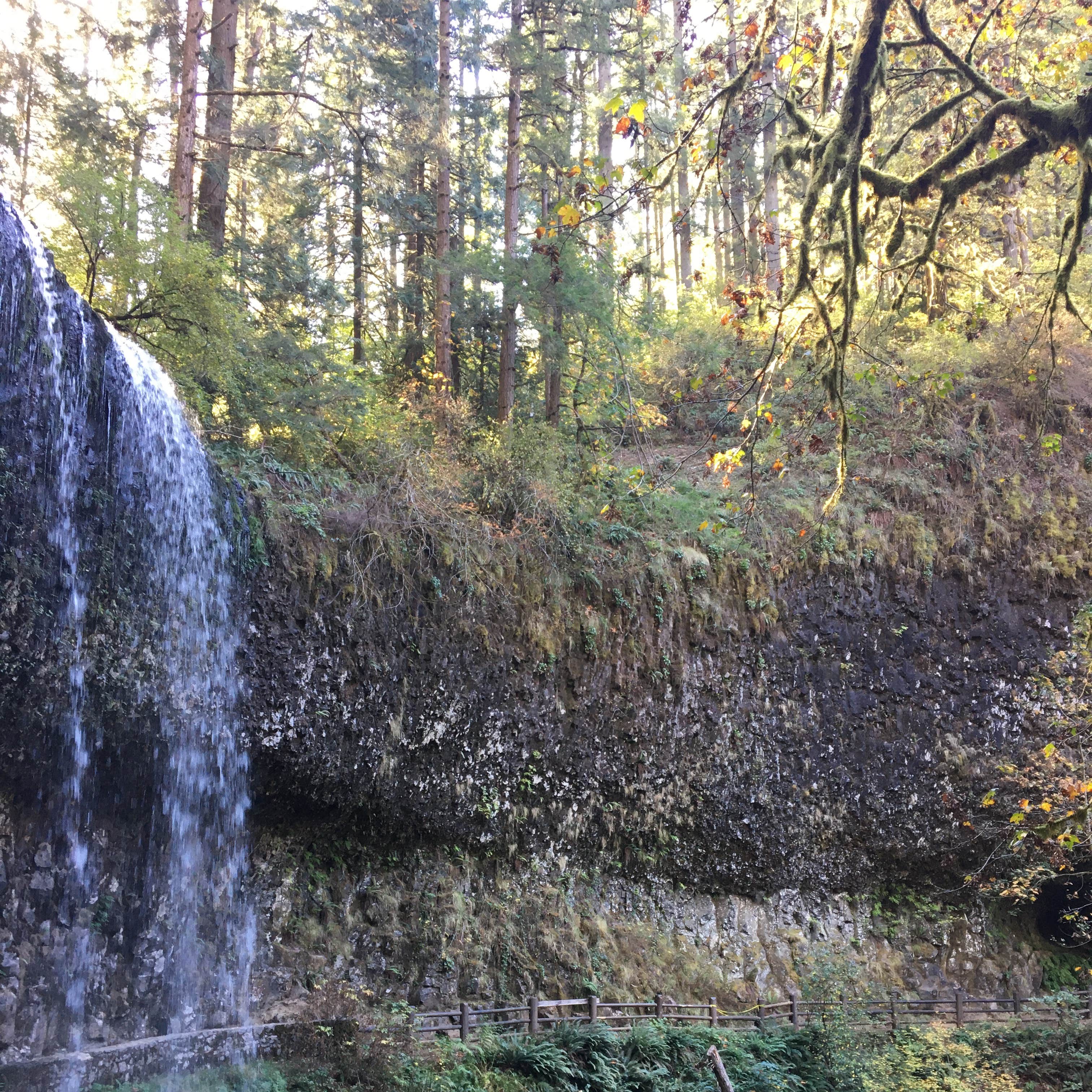 Smith Creek Village — Silver Falls State Park Camping | Mehama, Oregon