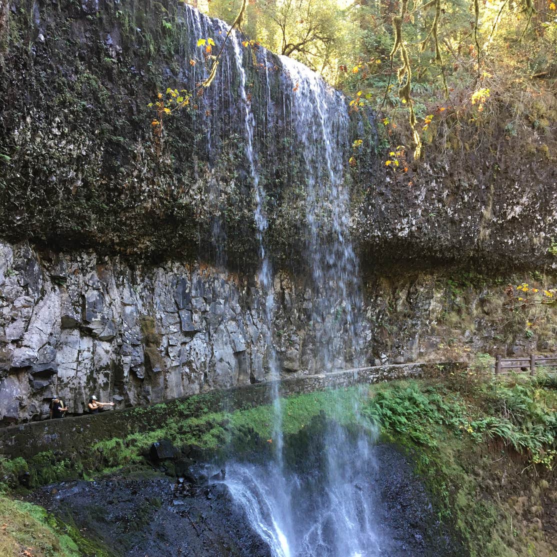 Smith Creek Village — Silver Falls State Park Camping | Mehama, OR