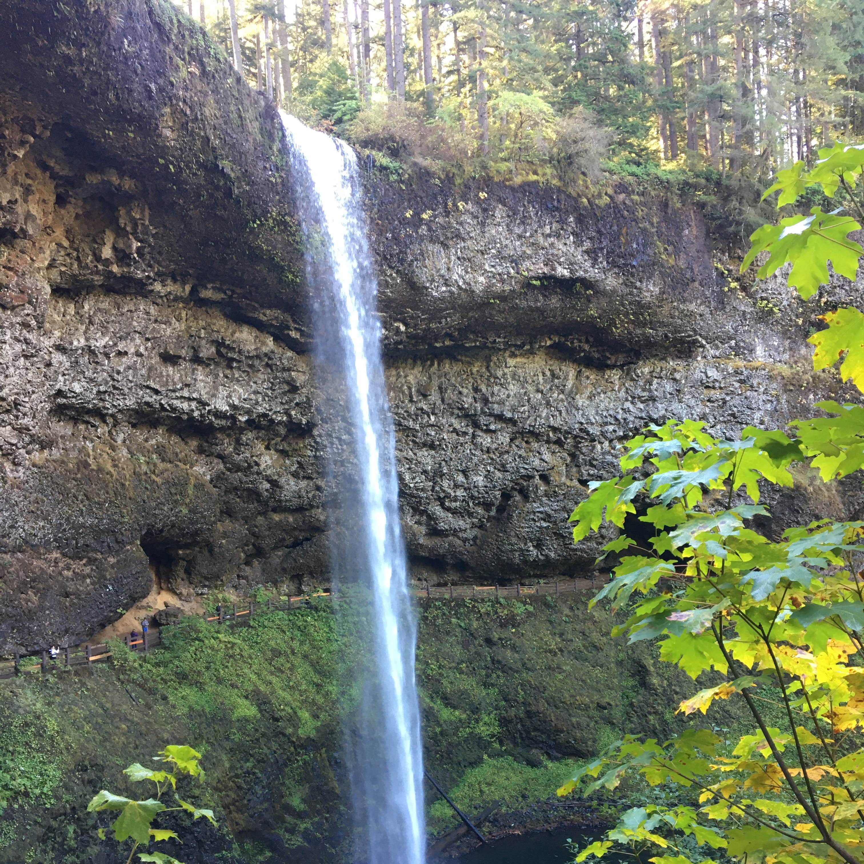 Smith Creek Village — Silver Falls State Park Camping | Mehama, OR