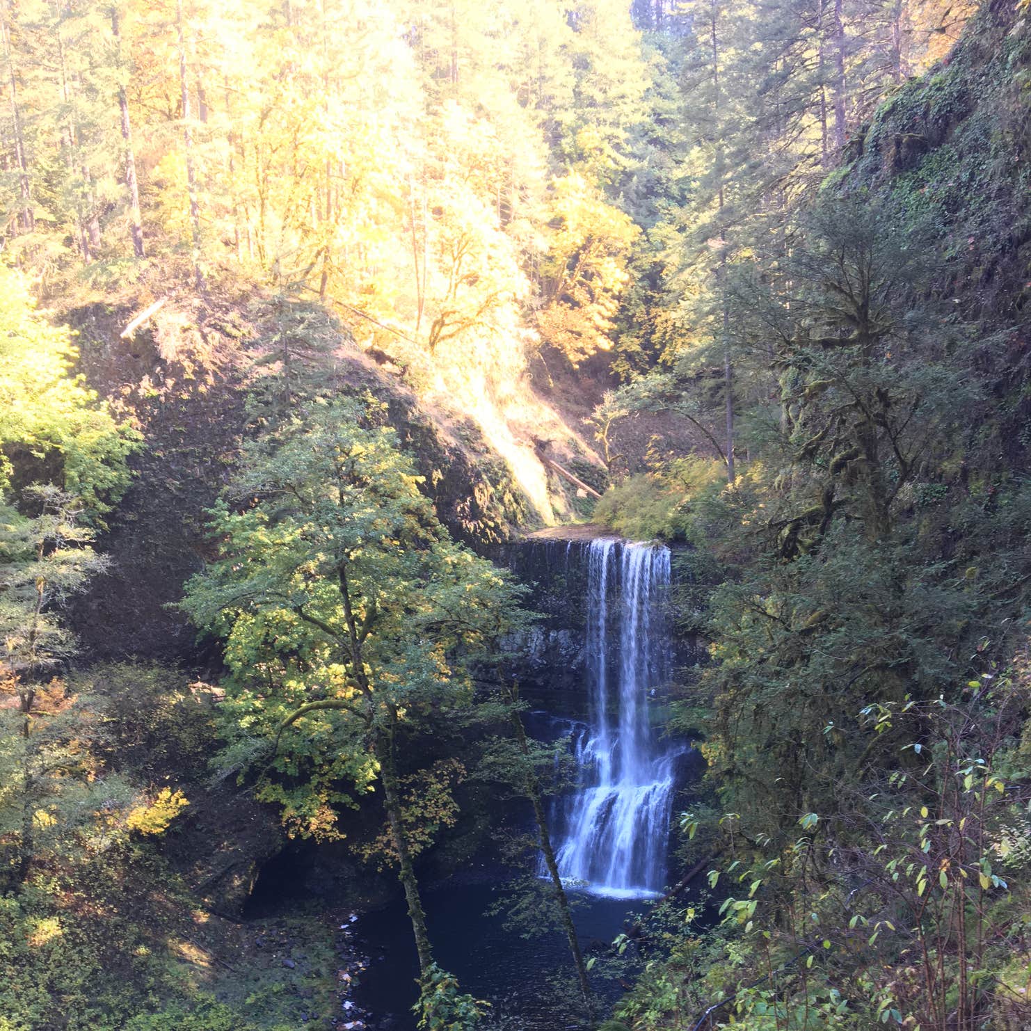 Smith Creek Village — Silver Falls State Park Camping | Mehama, OR