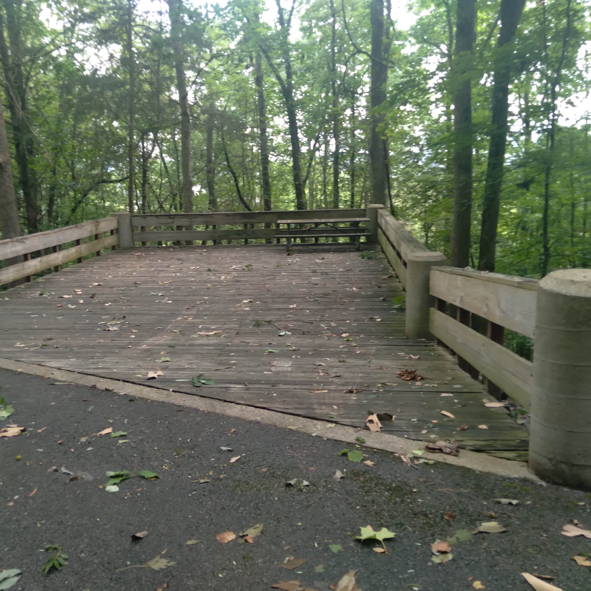Edgar Evins State Park Campground | Lancaster, Tennessee