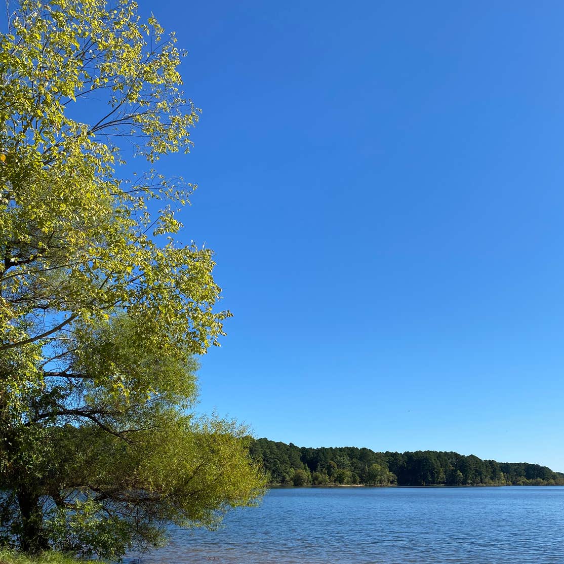 New Hope Overlook Primitive Campground — Jordan Lake State Recreation ...