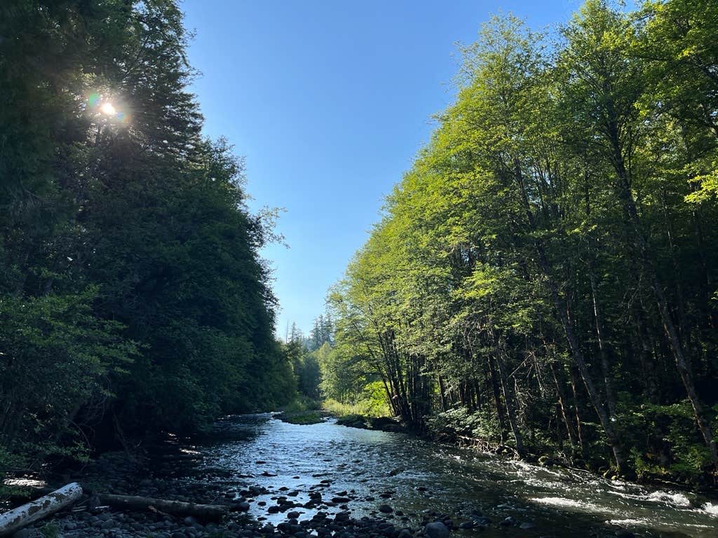 Campers Flat Campground | Lane, OR