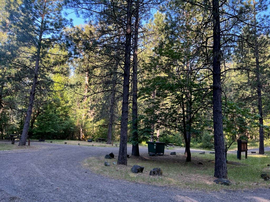 Campers Flat Campground | Lane, OR