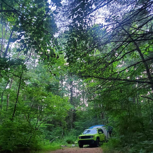 Berry Ridge Road - Dispersed Camping Camping | The Dyrt