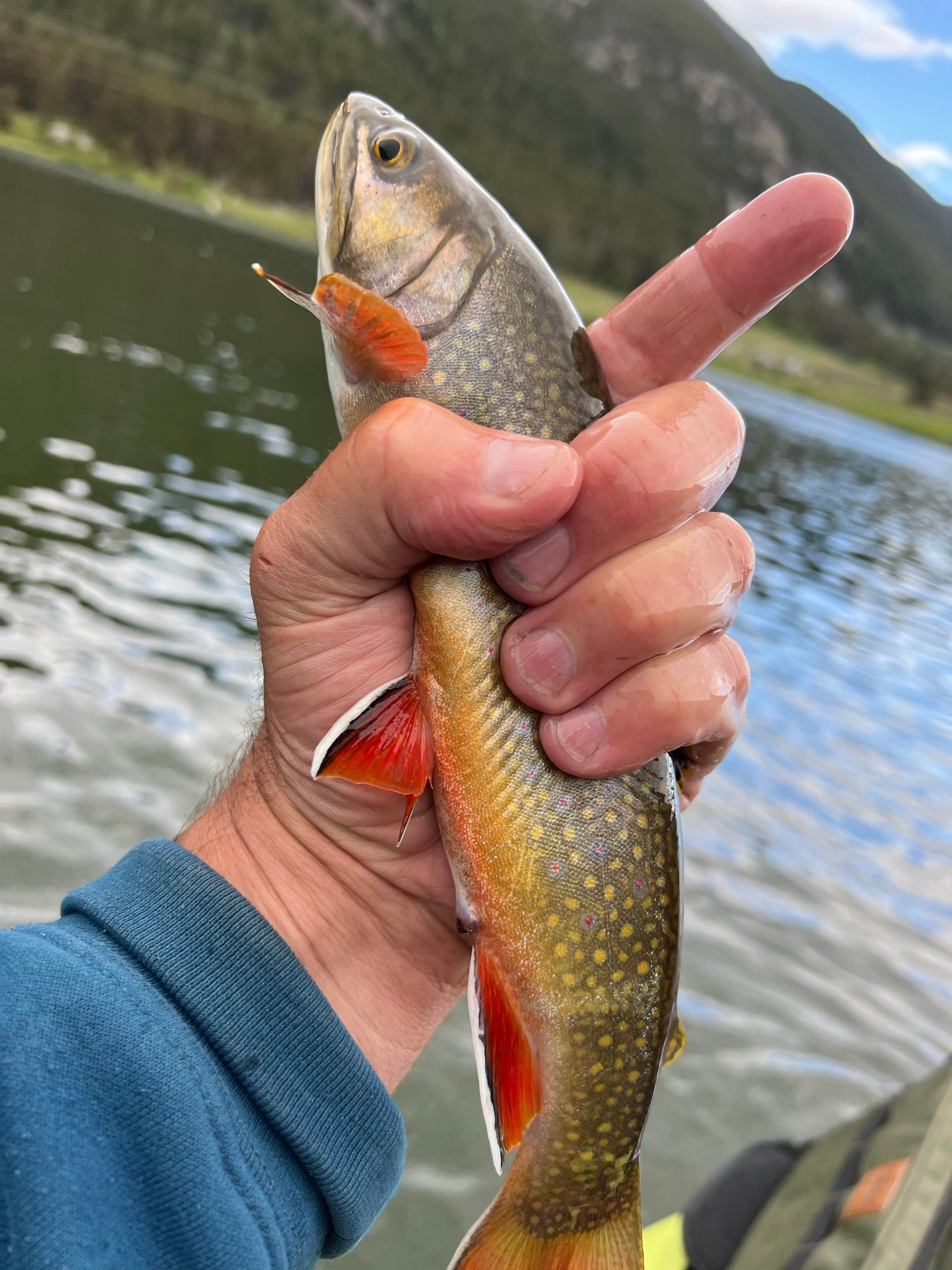 Rosebud East Camping | Forsyth, MT