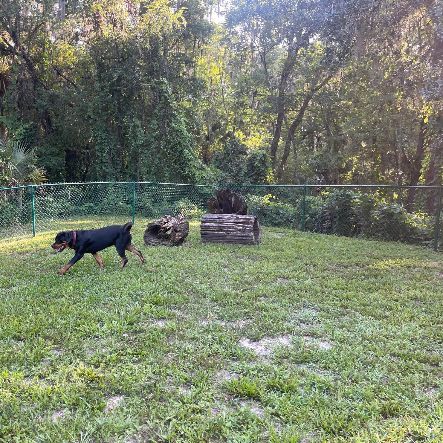 Trails End RV Park | Floral City, Florida