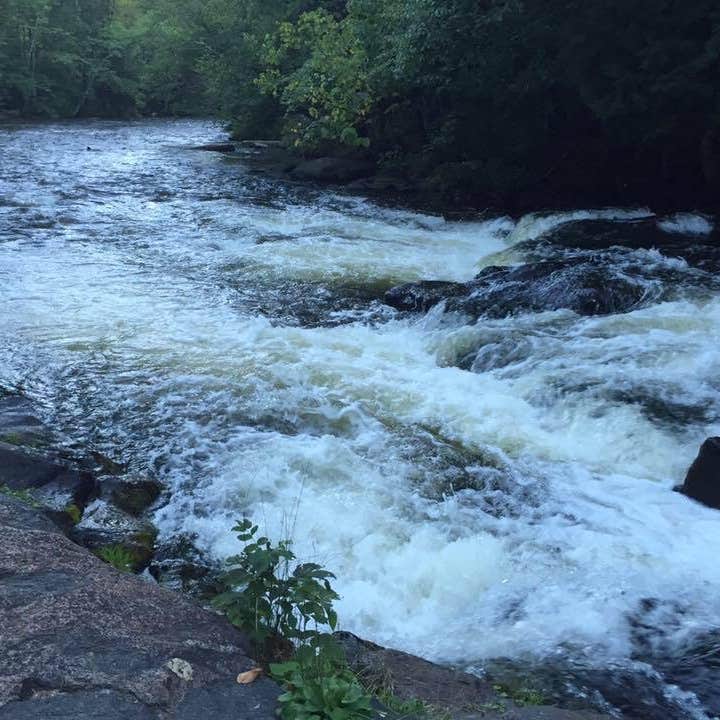 Bagley Rapids NF Campground | Mountain, Wisconsin