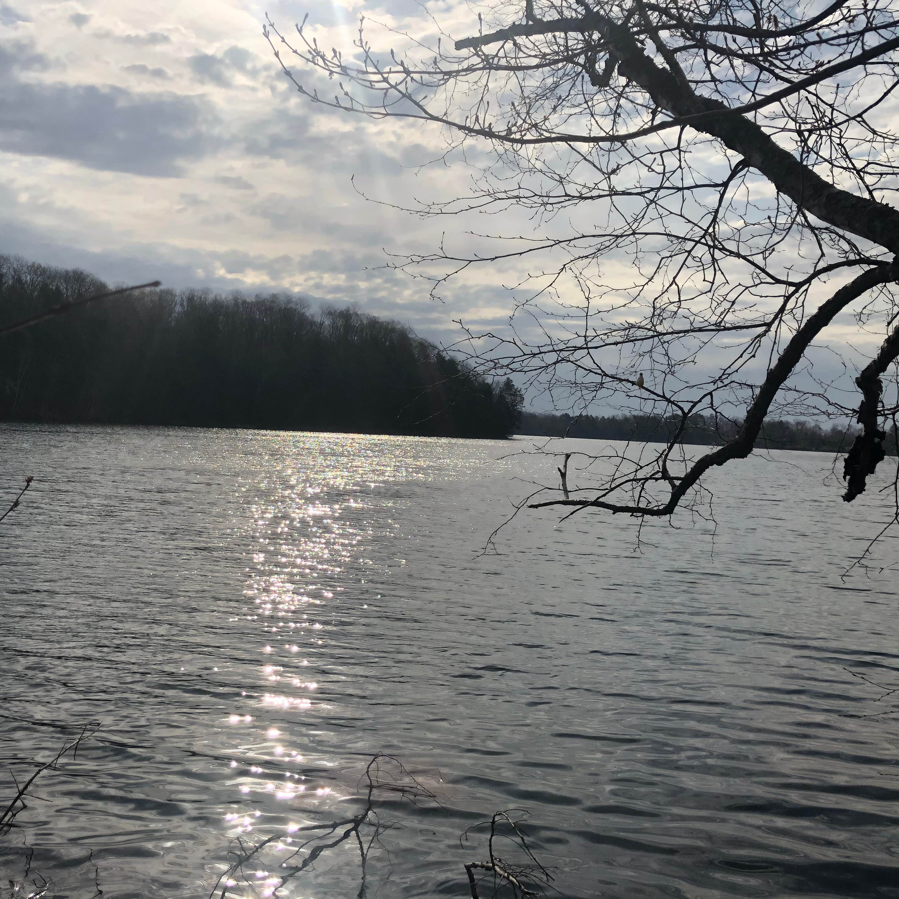 Boot Lake Campground | Townsend, Wisconsin