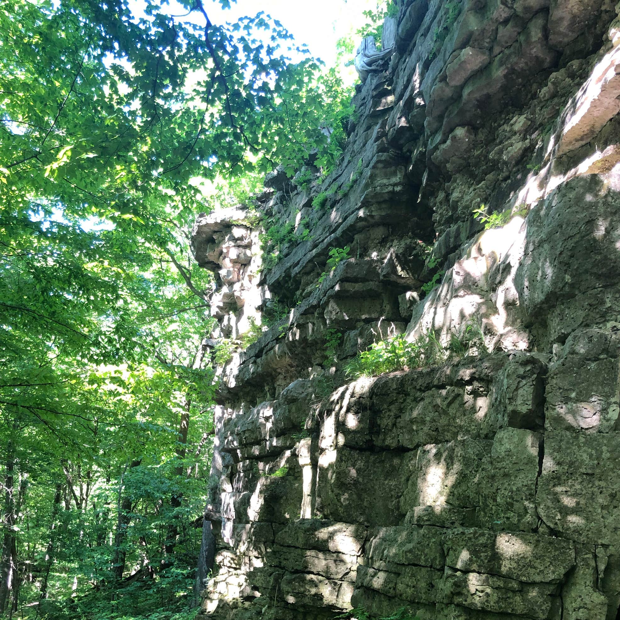 High Cliff State Park Campground | Sherwood, Wisconsin