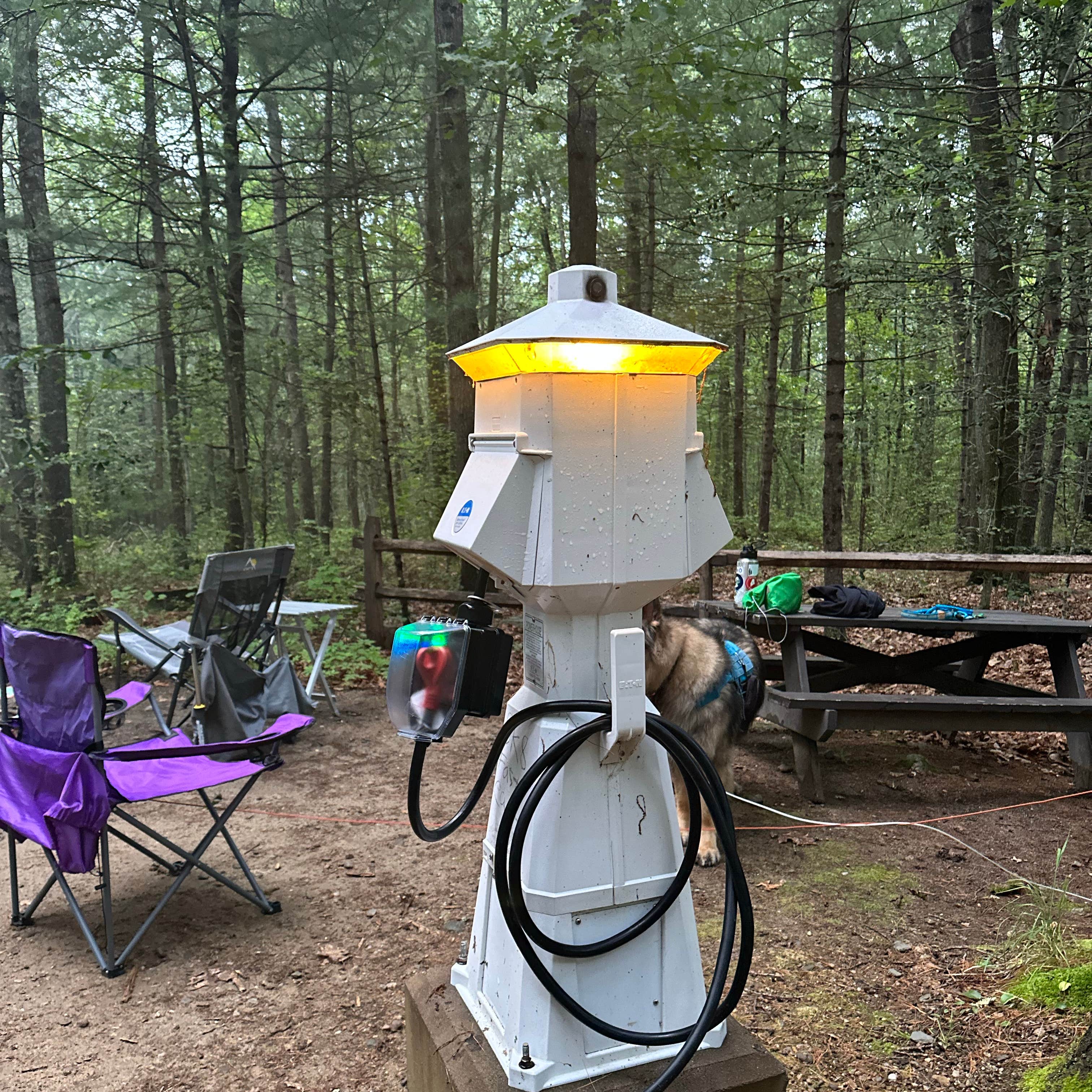 Wompatuck State Park Campground | Hingham, MA