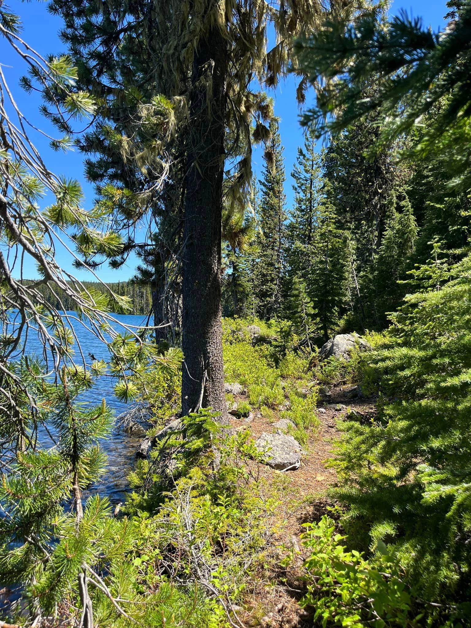 Summit Lake Campground | Crescent, OR
