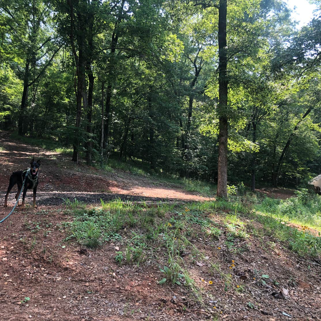 Hideaway Cove Camping | Kent, Alabama