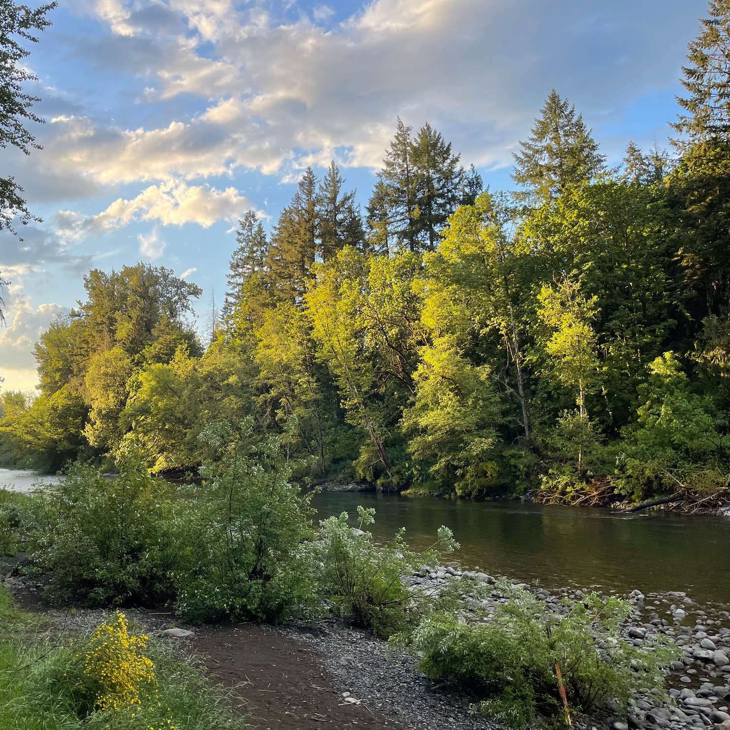 Feyrer Park Camping | The Dyrt