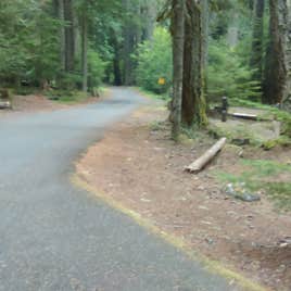 Silver Springs Campground Camping | The Dyrt