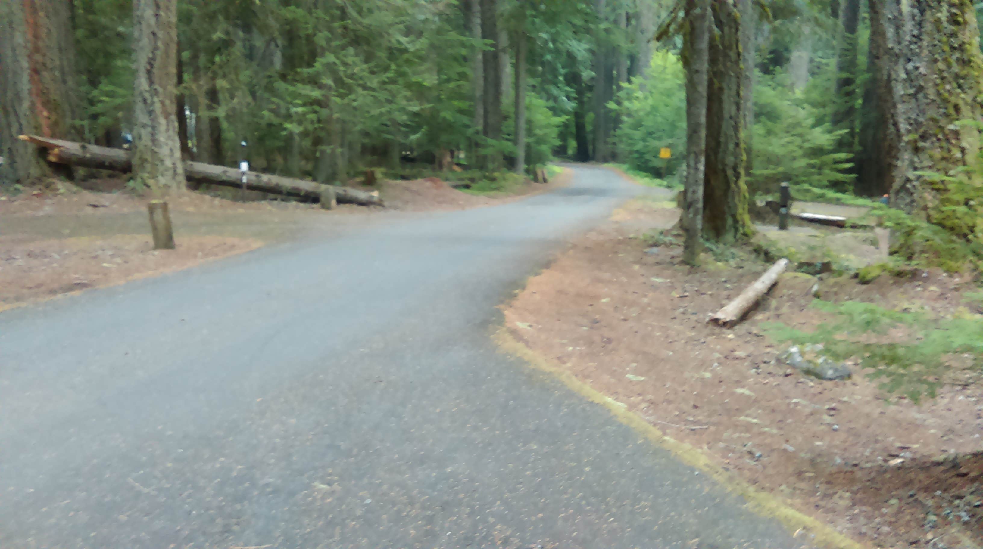 Silver Springs Campground | Greenwater, WA
