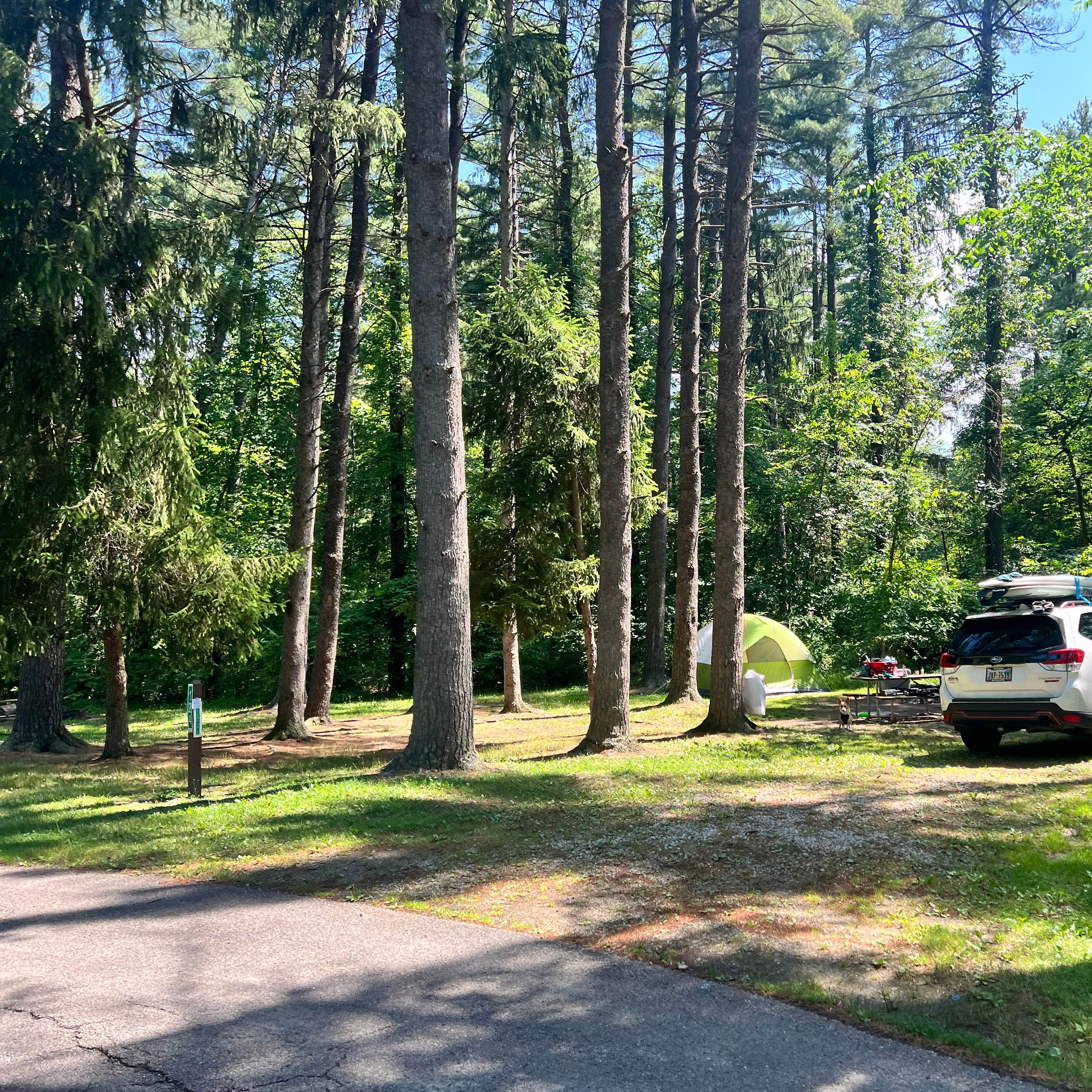 Findley State Park Campground | Wellington, Ohio
