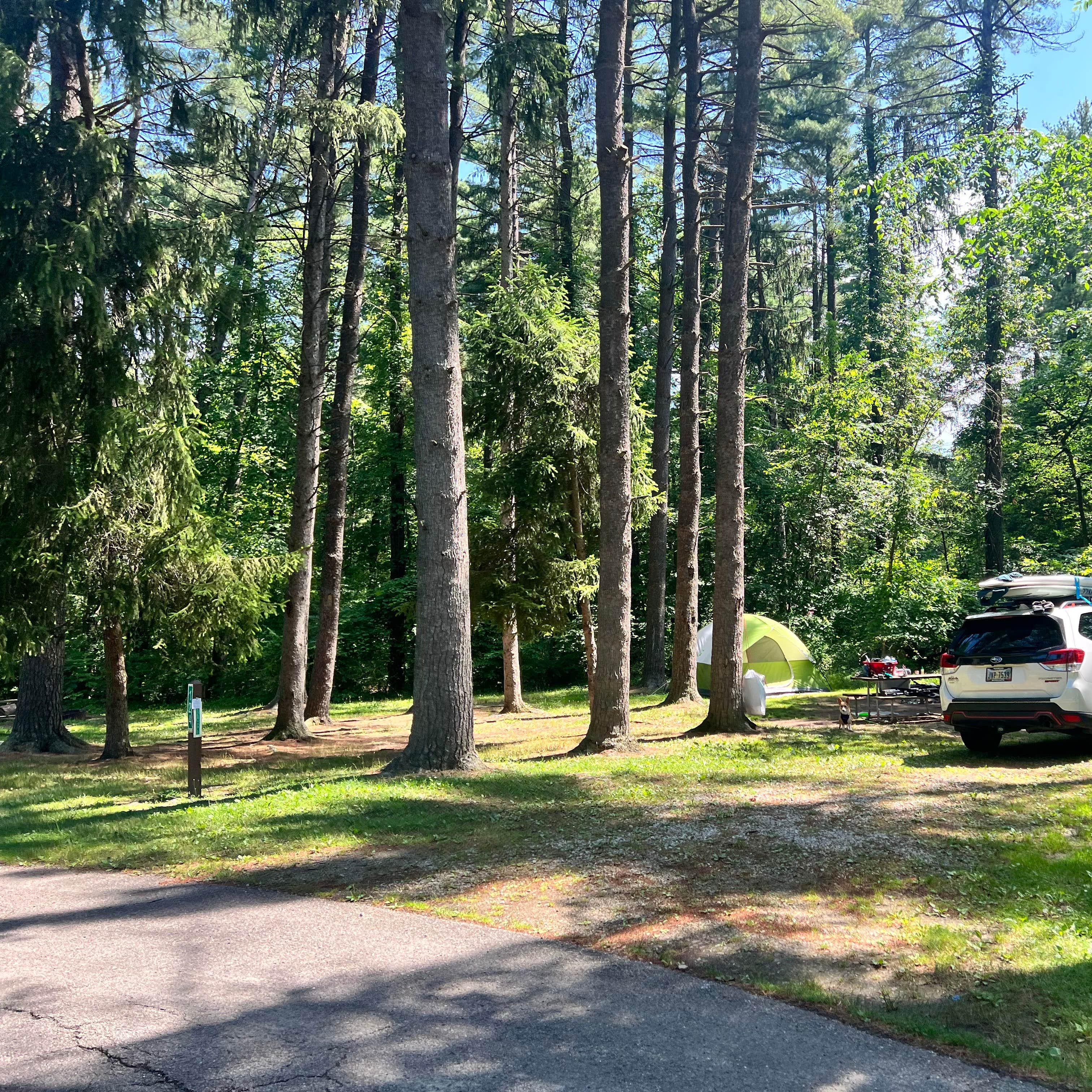 Findley State Park Campground | Wellington, Ohio