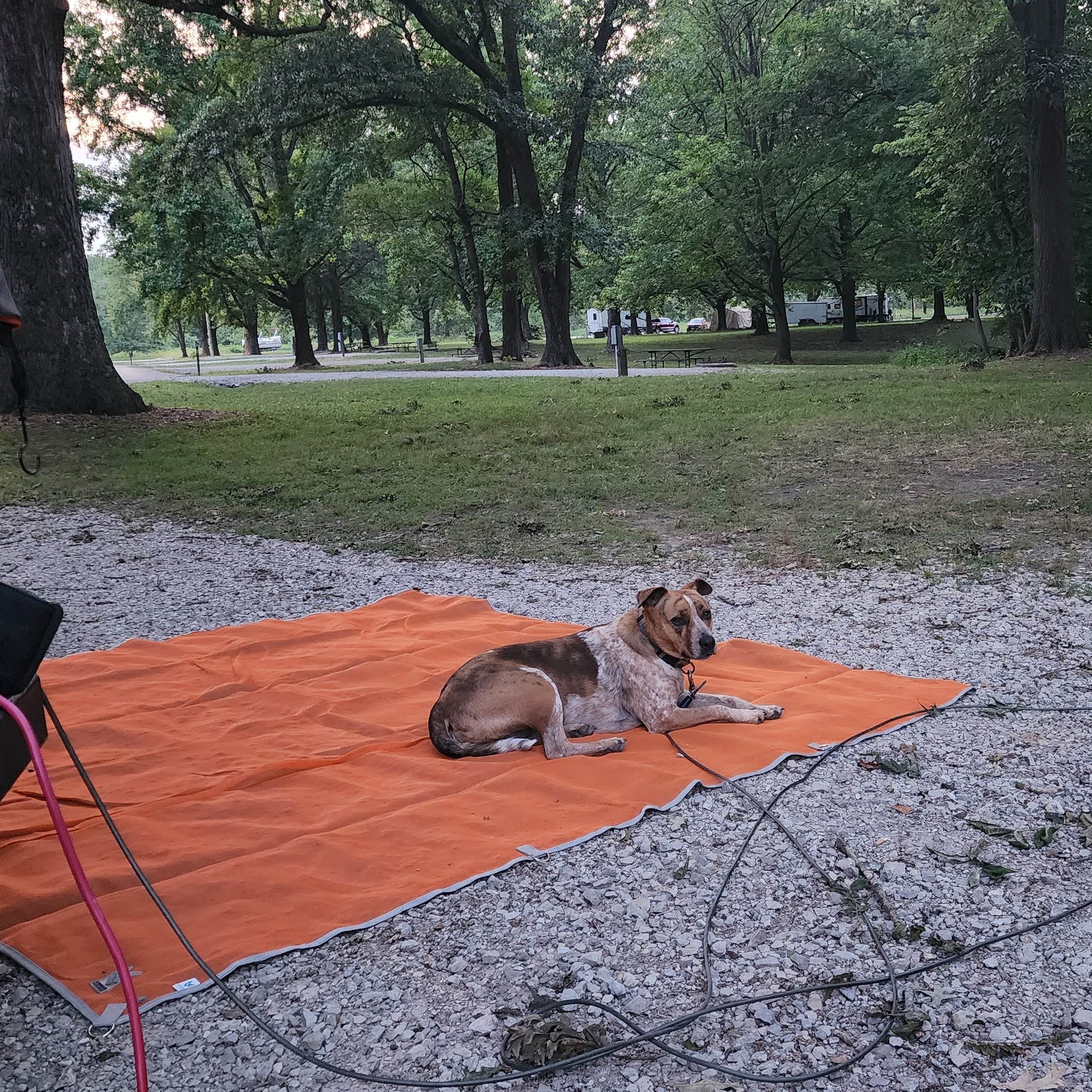 Illini Campground — Eldon Hazlet State Recreation Area | Carlyle, IL