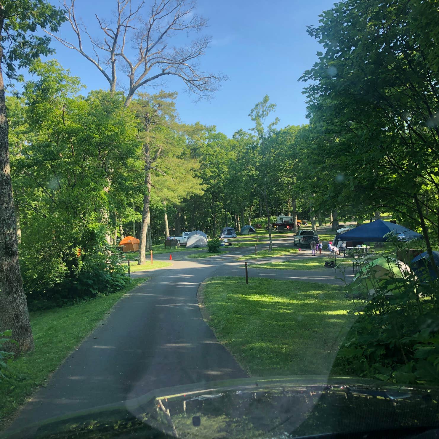 Lewis Mountain Campground — Shenandoah National Park | Hood, Virginia