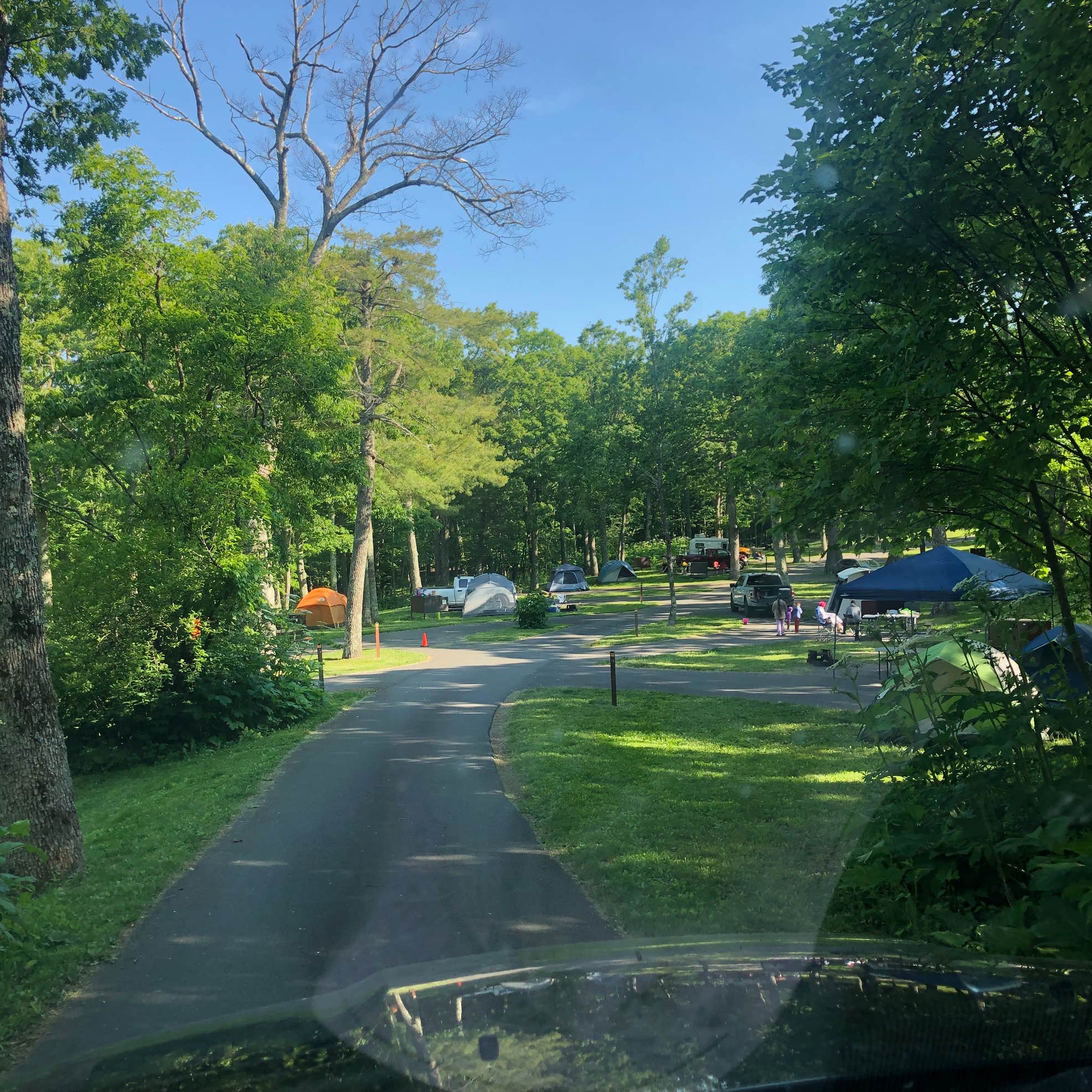 Lewis Mountain Campground — Shenandoah National Park | Hood, Virginia