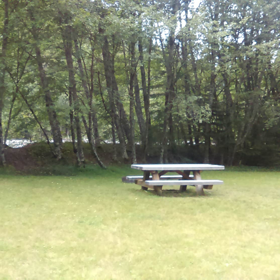 Silver Springs Campground Camping | Enumclaw, WA | The Dyrt