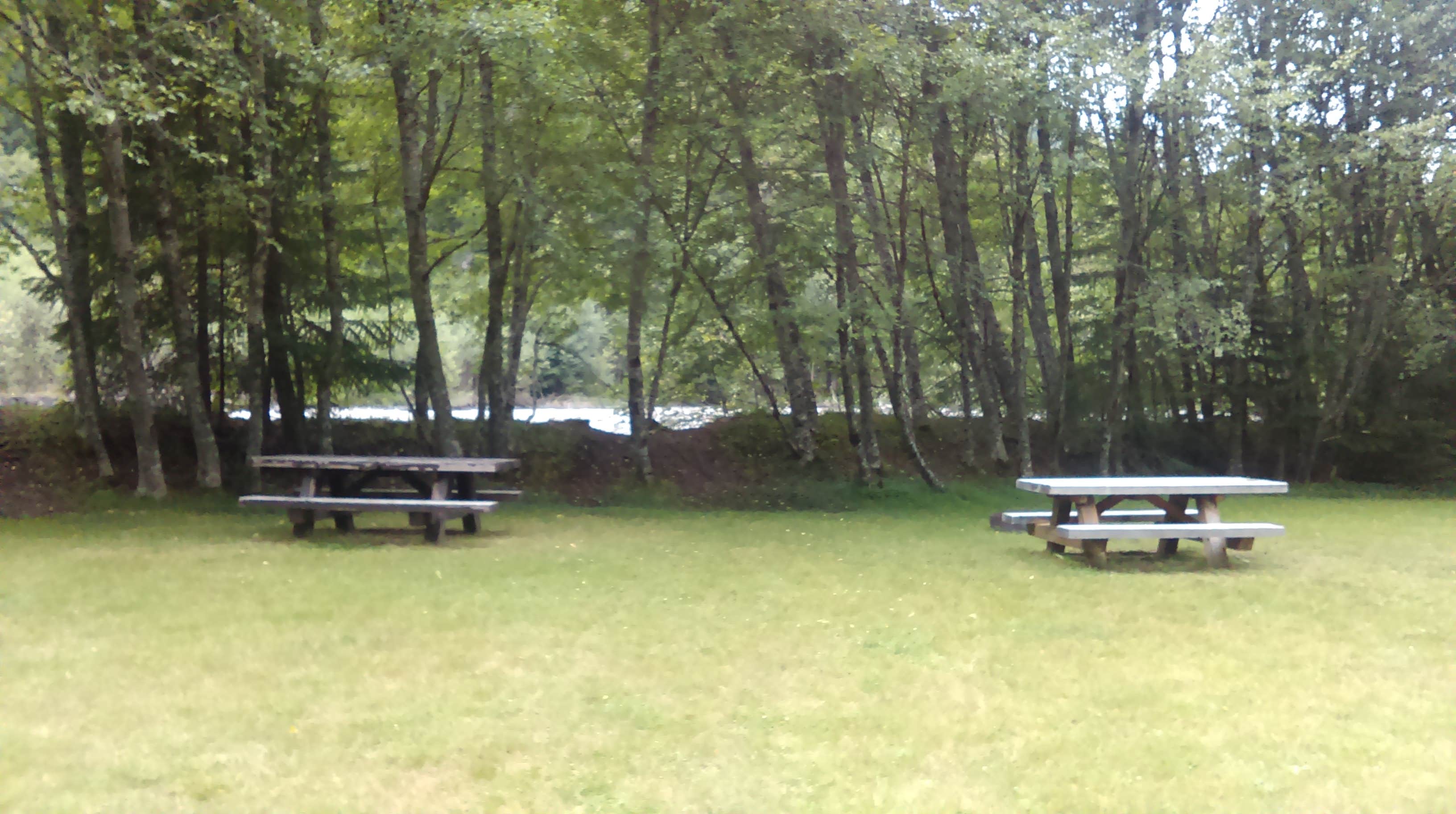 Silver Springs Campground | Greenwater, Washington