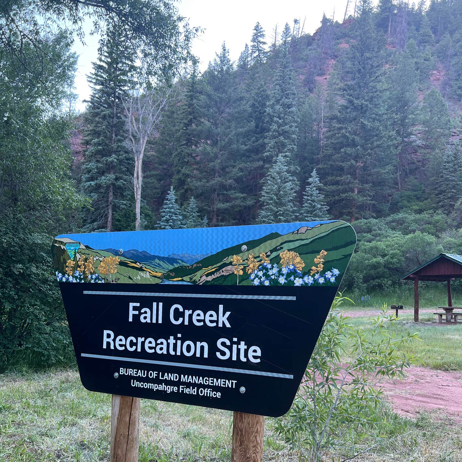 Fall Creek Camping | Placerville, Colorado