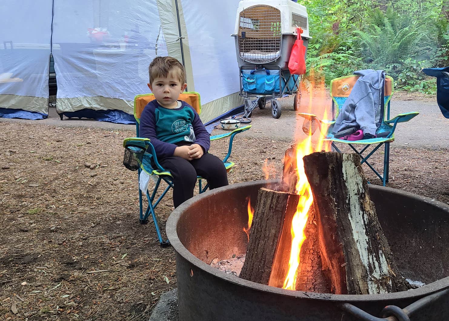 Cresap Bay Campground Camping | The Dyrt
