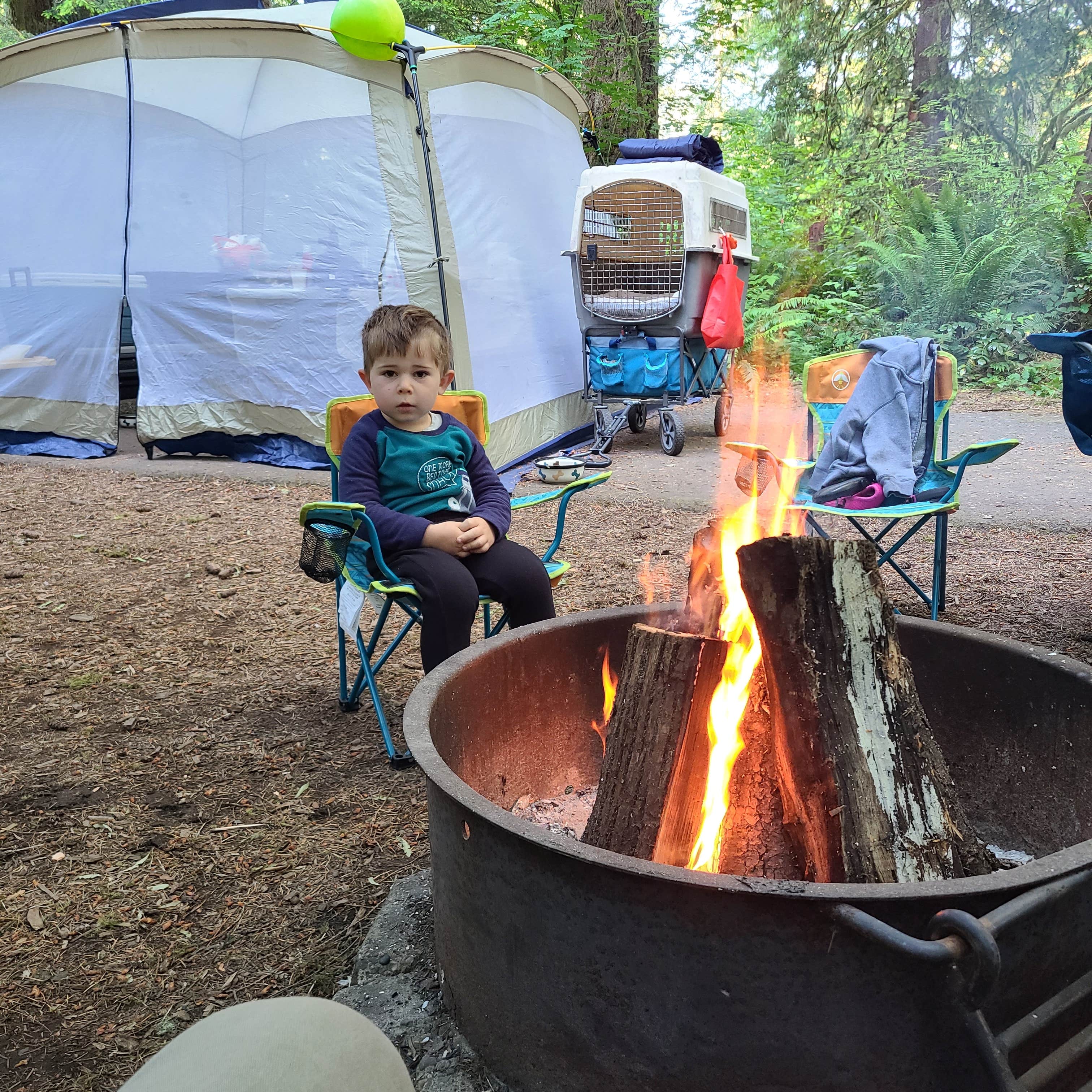 Cresap Bay Campground | Cougar, Washington