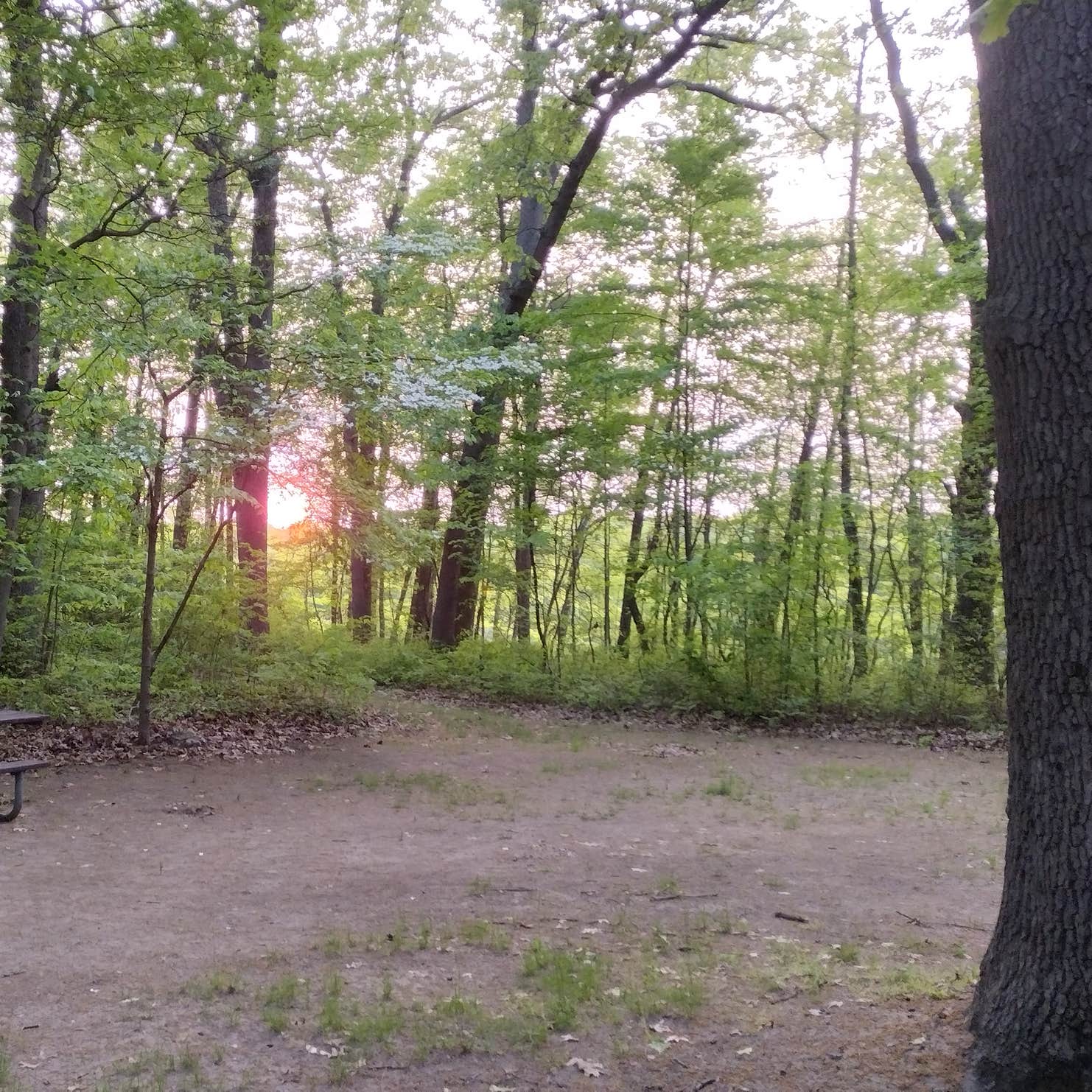 Ely Lake Campground Camping | The Dyrt