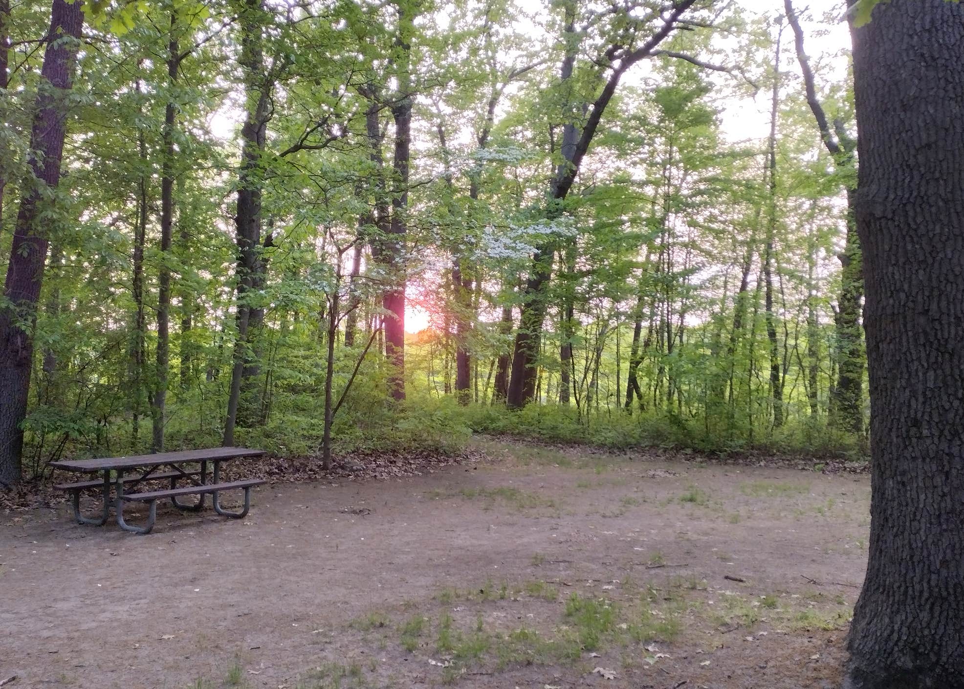 Ely Lake Campground Camping | The Dyrt