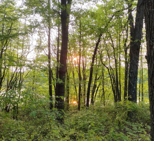 THE 10+ BEST Campgrounds near Saugatuck, MI THE 10+ BEST Campgrounds near Saugatuck, MI