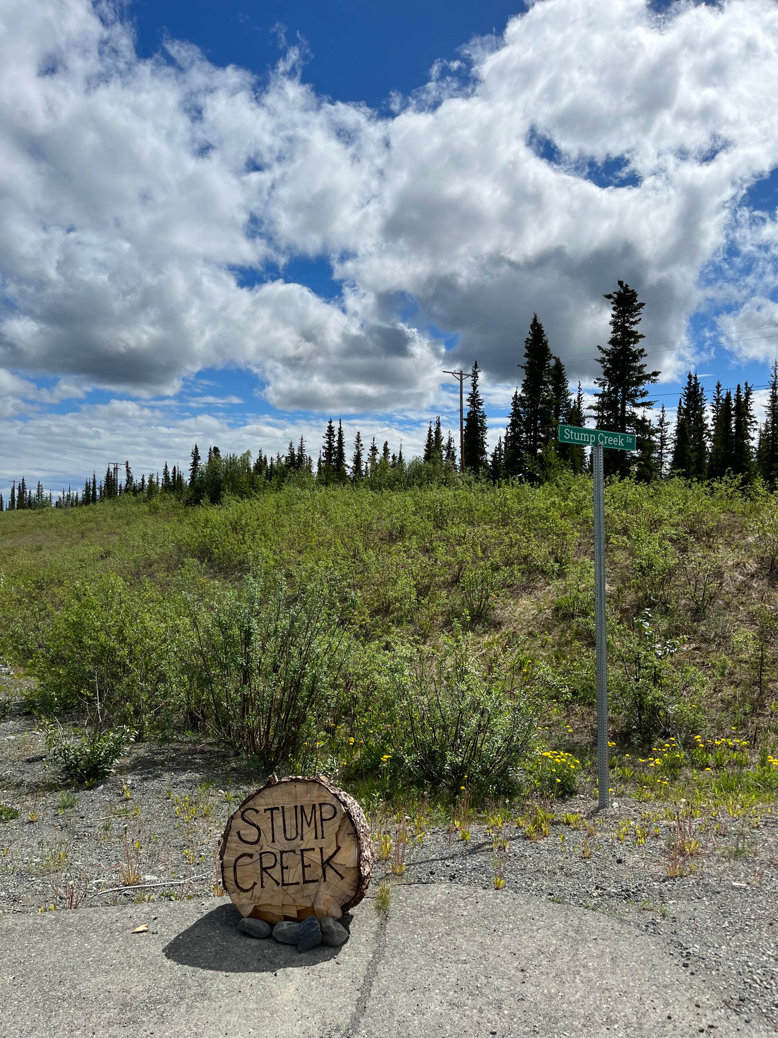 Stump Creek B&B Camping | Glennallen, AK