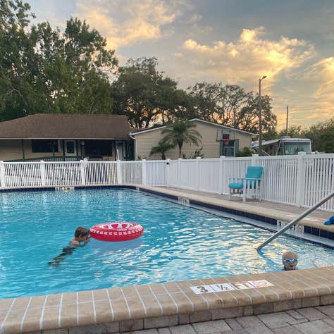 Caladesi RV Park | Palm Harbor, Florida