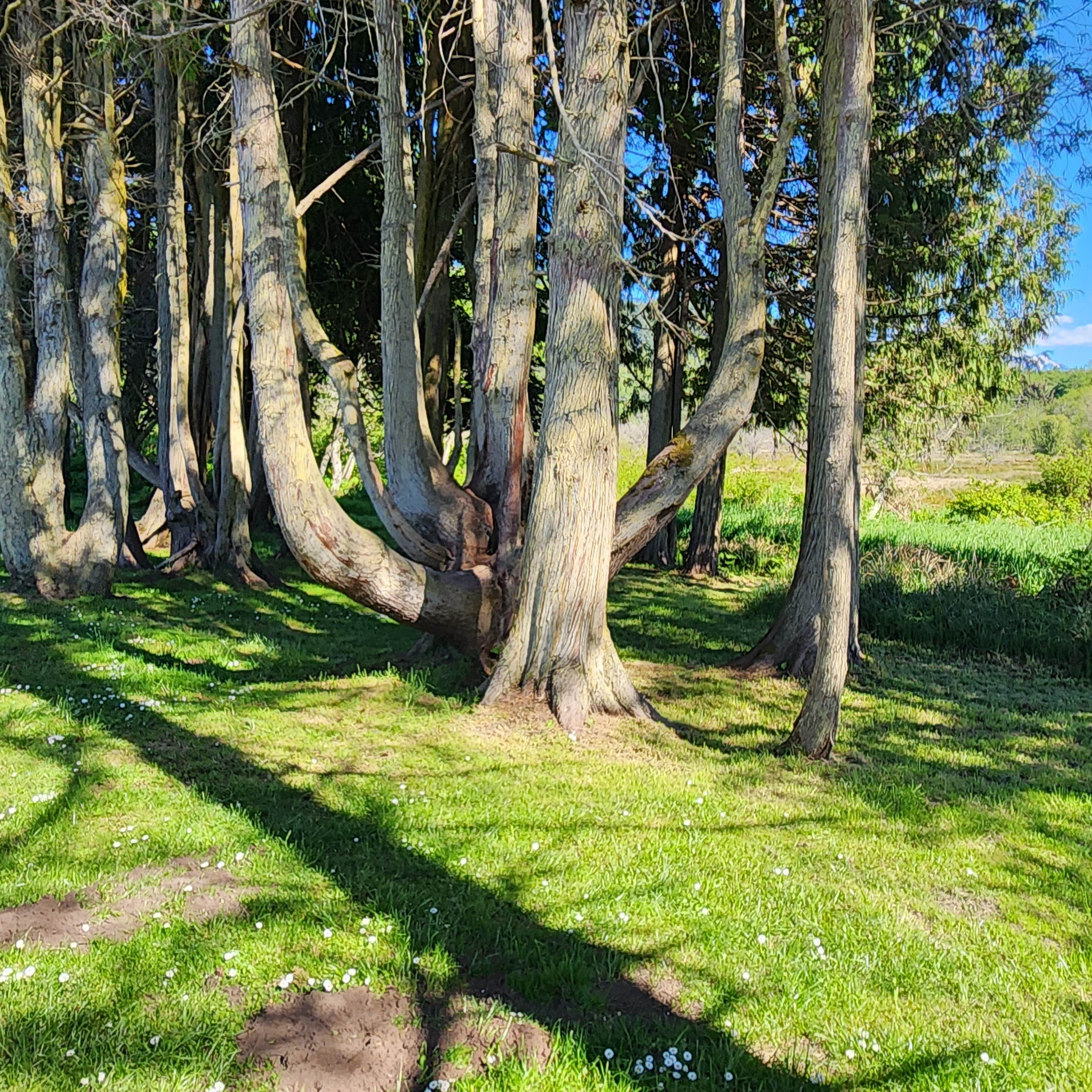 Crescent Beach & RV Park | Port Angeles, WA