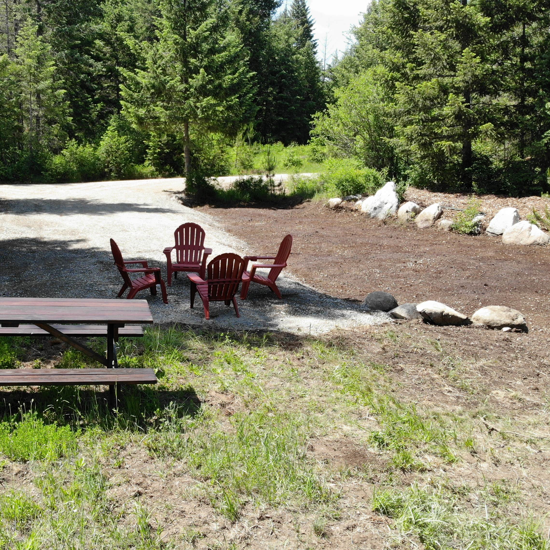 Black Bear Meadows Camping | The Dyrt