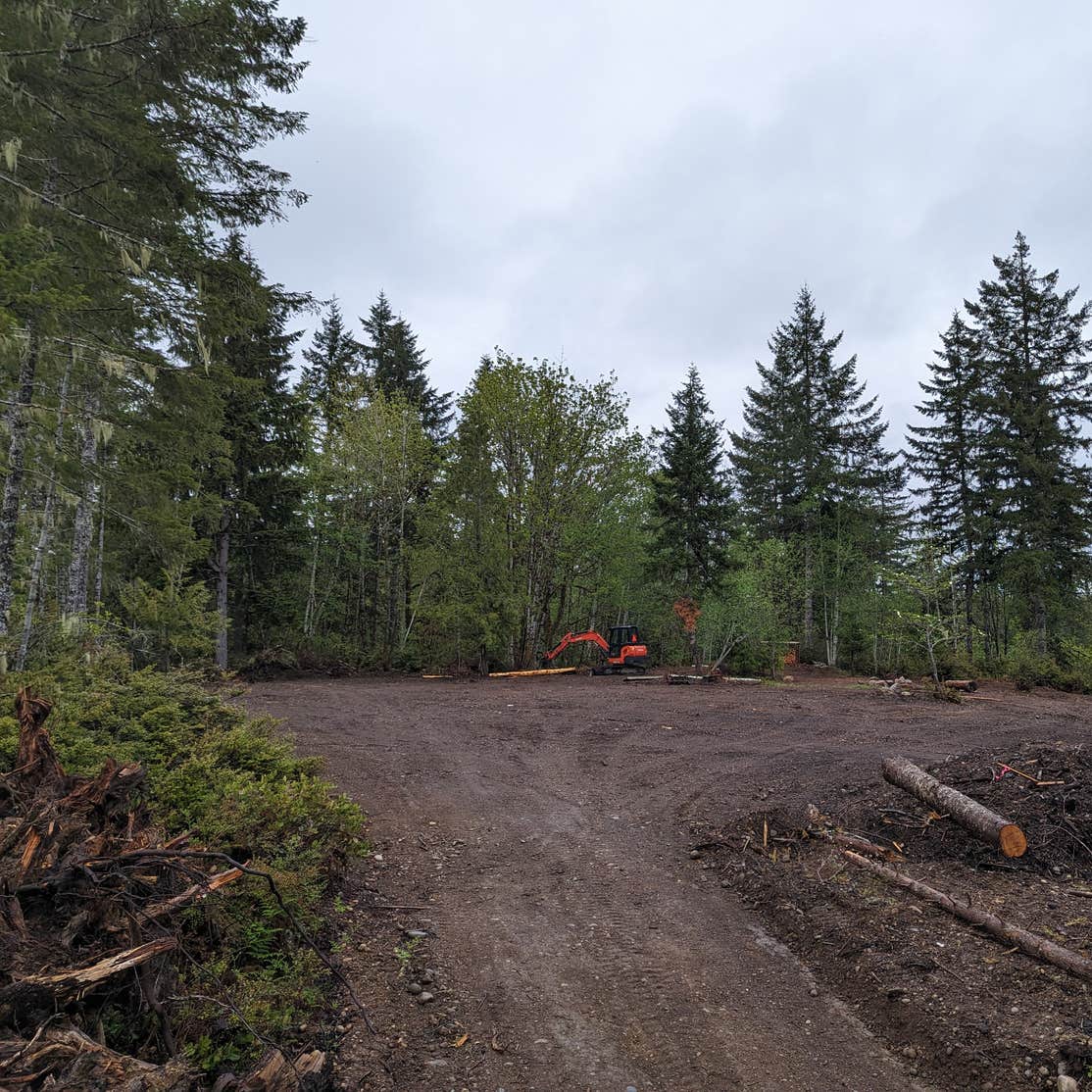 Christmas Tree Ridge Camping | The Dyrt